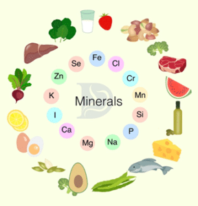 Minerals - Digestive and Liver Health Specialists